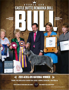 Bull – Castle Butte & Imbach