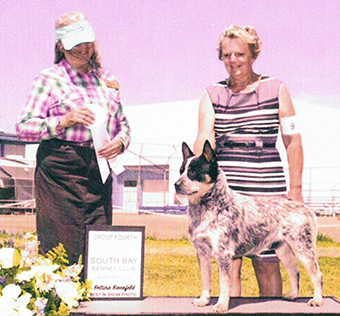 Coota – Castle Butte & Imbach